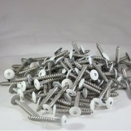 Arctic White | 250 Hardie Screws | Stainless Steel