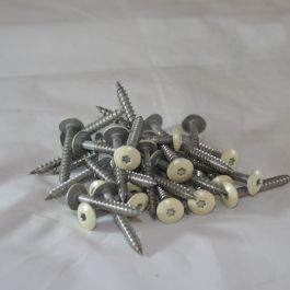 Woodland Cream | 250 Hardie Screws | Stainless Steel